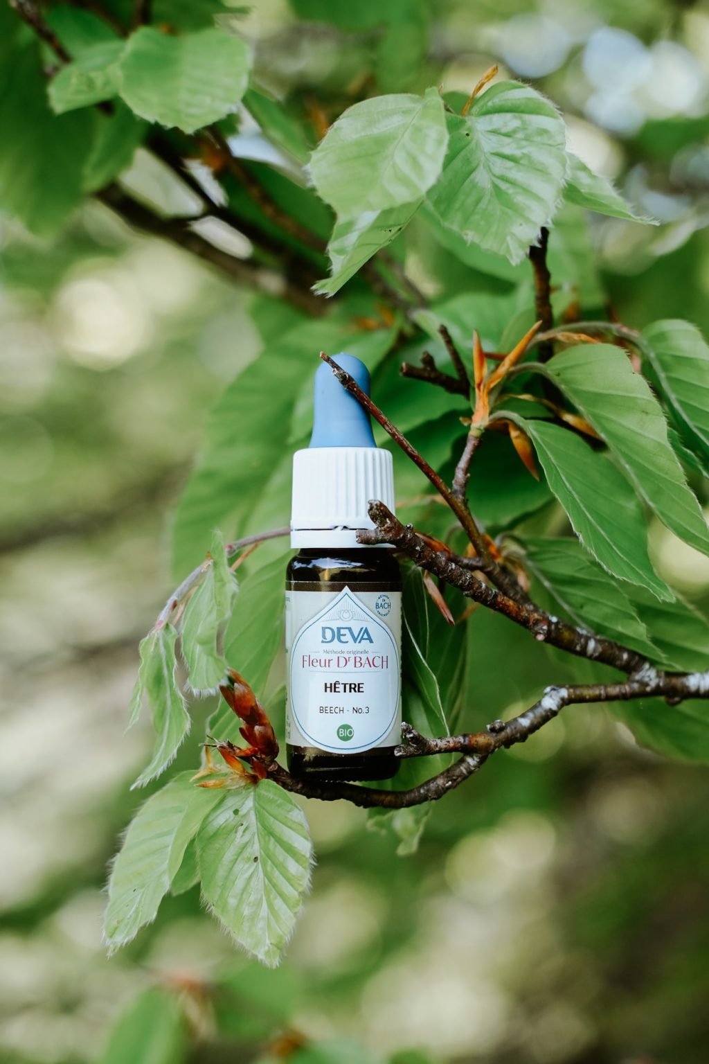 Deva, des fleurs de Bach pour l’apaisement des émotions – Le Fenouil Biocoop
