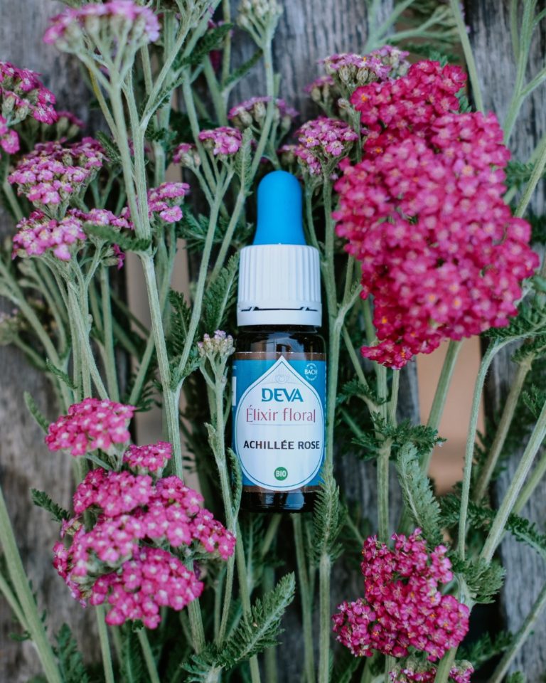 Deva, des fleurs de Bach pour l’apaisement des émotions – Le Fenouil ...